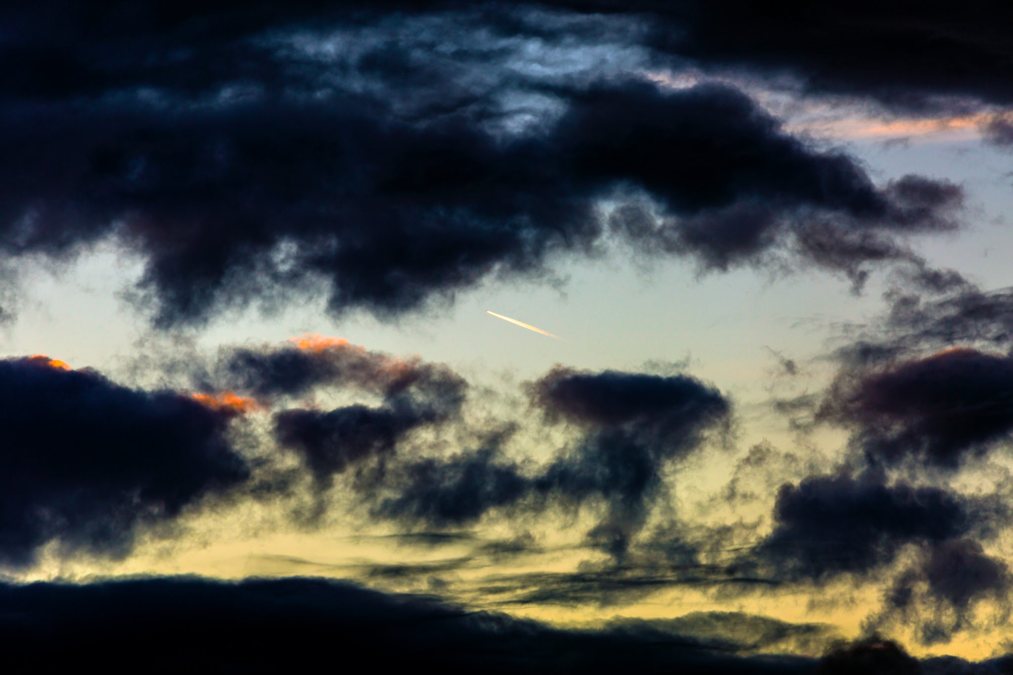 Blog » Peter Kitch